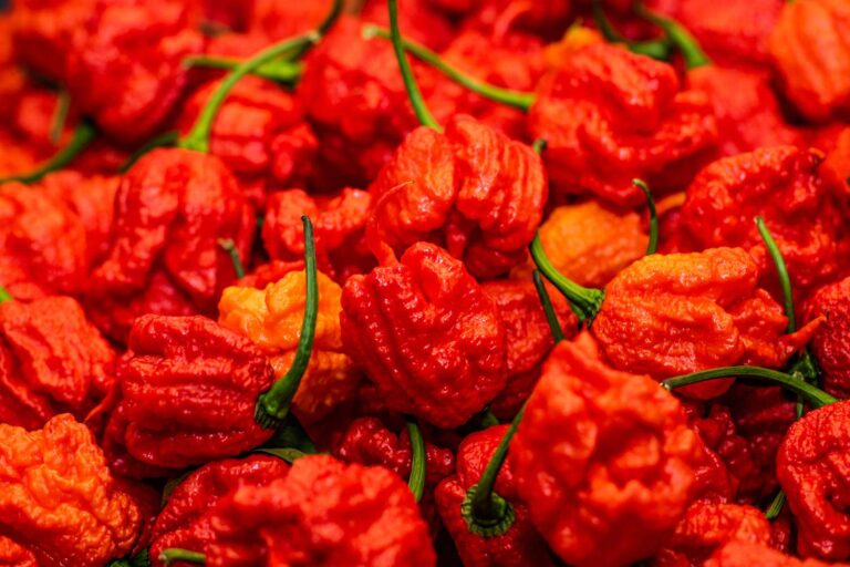 Ghost Pepper/Carolina Reaper - Patty A African Foods